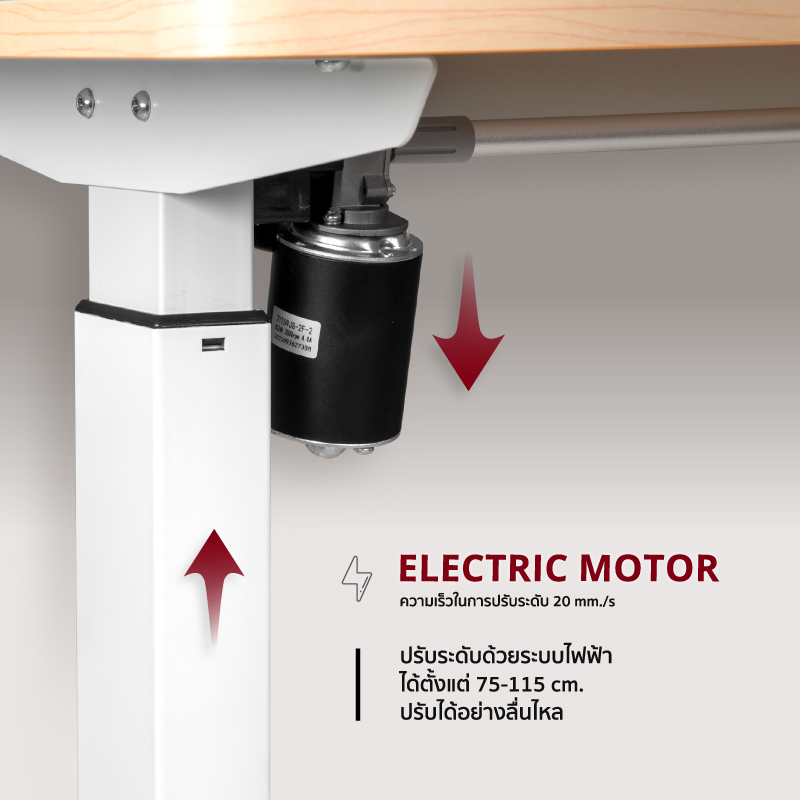 Fennix Ergonomic Desk โต๊ะปรับระดับอัตโนมัติด้วยระบบไฟฟ้า Size 120*60cm ...