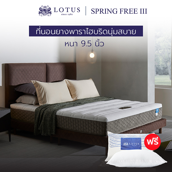 Lotus ที่นอนยางพาราไฮบริด (สเปคนุ่มสบาย) รุ่น Spring Free III หนา 10 ...