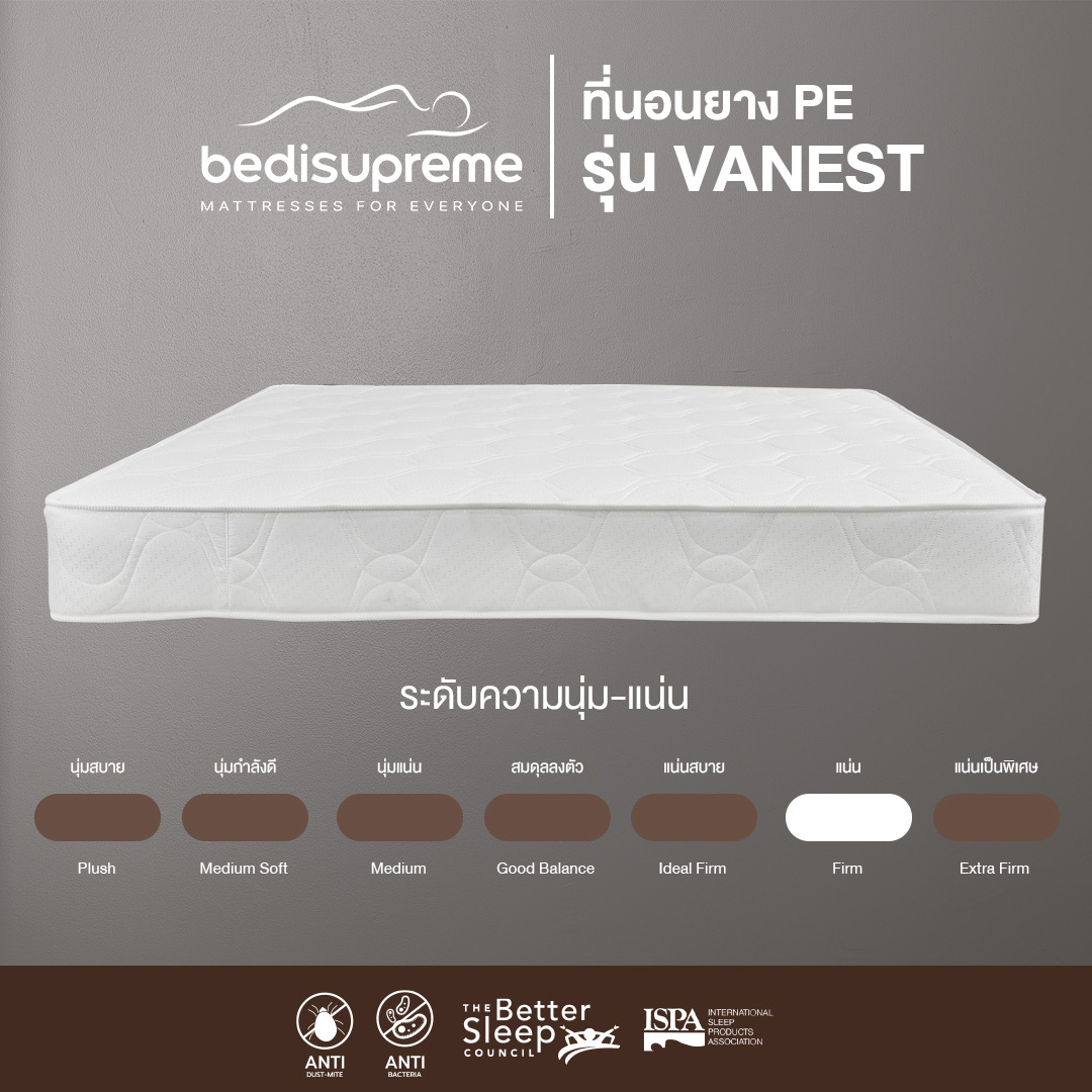 Bedisupreme ที่นอนยาง PE หุ้มผ้านอก กันไรฝุ่น หนา 6 นิ้ว รุ่น Vanest ...