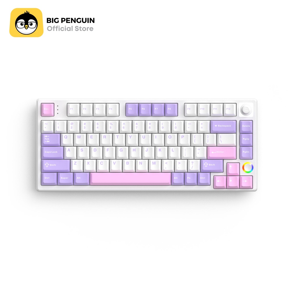 Bigpenguin Hello Ganss HS108T V2 Hotswap RGB Bluetooth Keyboard Thai ...