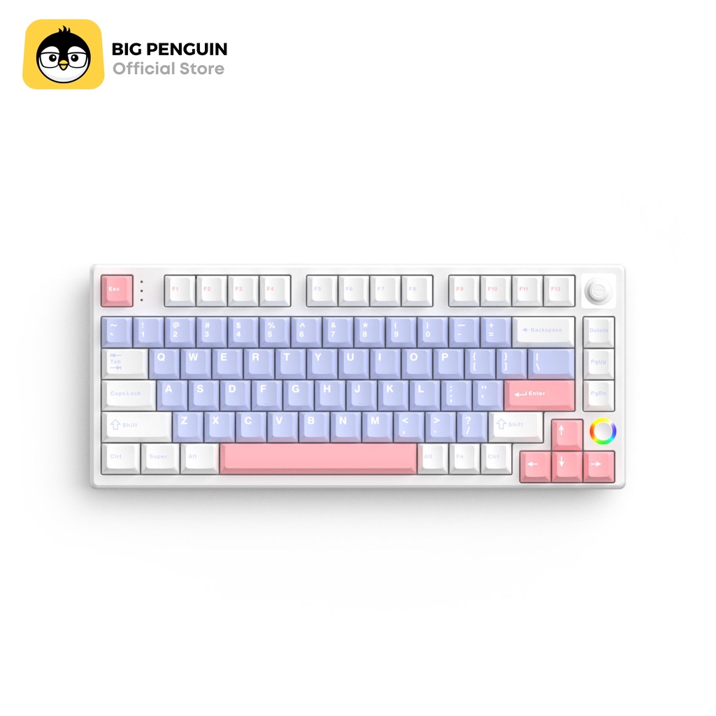 Bigpenguin Hello Ganss HS75T Hotswap RGB Bluetooth Keyboard Thai ...