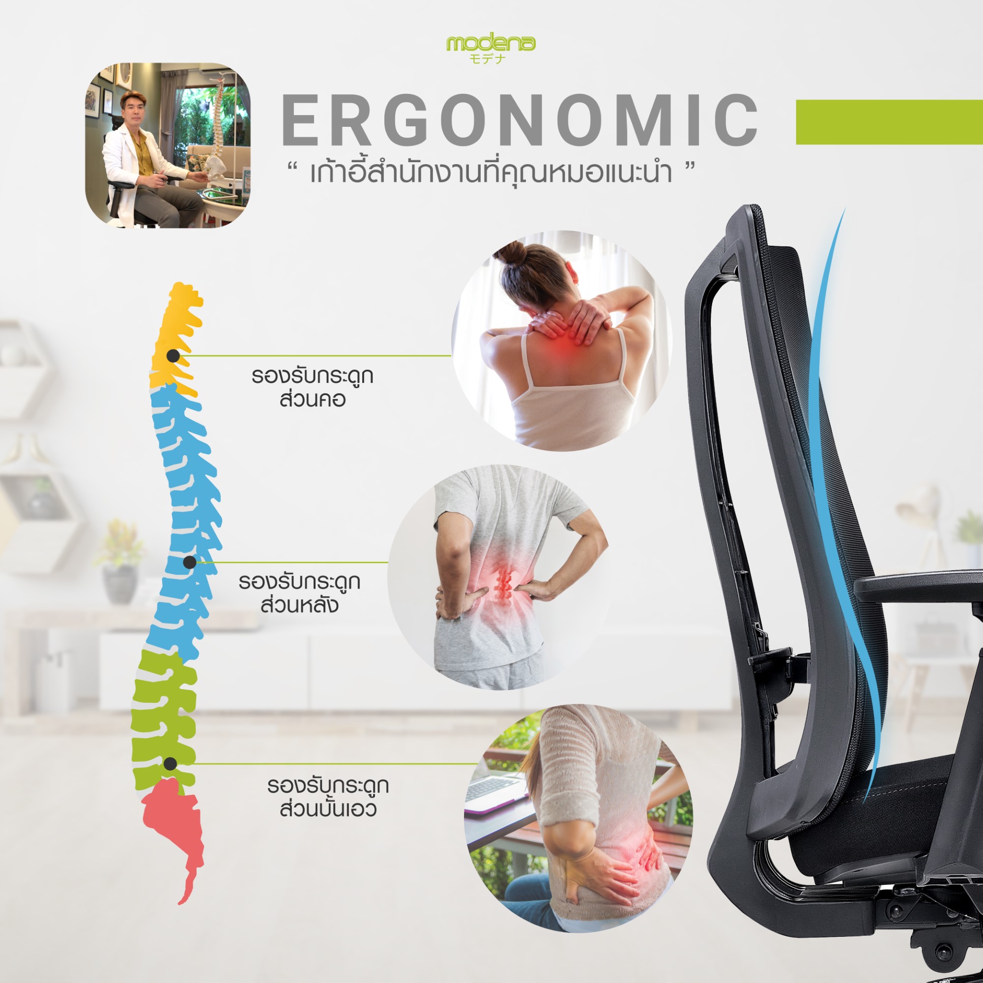 [รับฟรีตั๋วหนังเครือ SF 2 ใบ] Modena เก้าอี้เพื่อสุขภาพ รุ่น Maya - Lumbar support รองรับหลัง ...