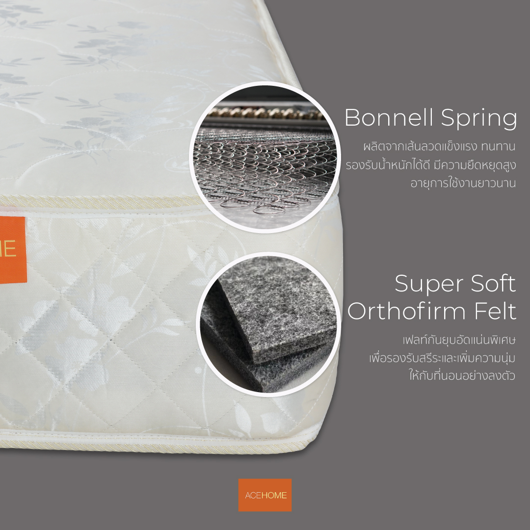 CHEDDAR Bonnell Spring Mattress ที่นอนสปริง หนา 9 นิ้ว 5 ฟุต - บริษัท ...