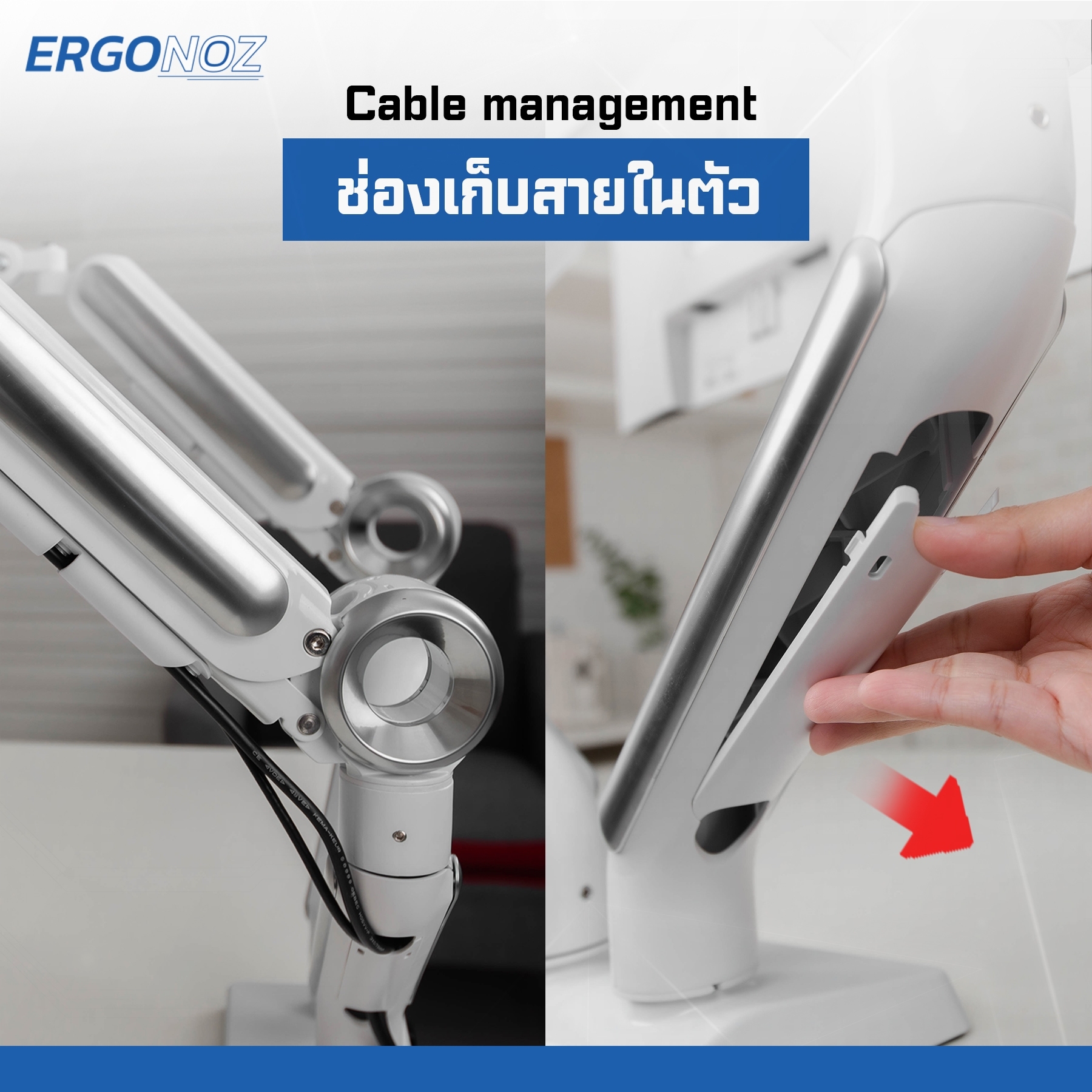 ERGONOZ แขนจับจอ ขาตั้งจอคอม Monitor Arm รุ่น 1 จอ (EGN-ASTRO-S) สำหรับหน้าจอ 13 - 35 นิ้ว ...