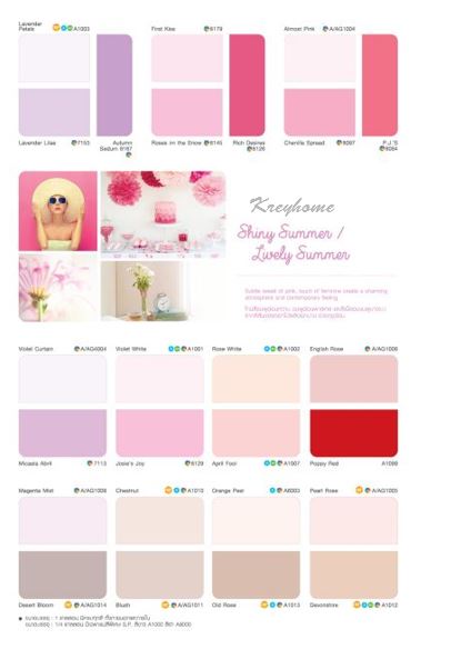 TOA สีน้ำ สีผสม สีทาบ้าน โฟร์ซีซั่น ภายใน 8444 Siera Blanca 9.46L ...