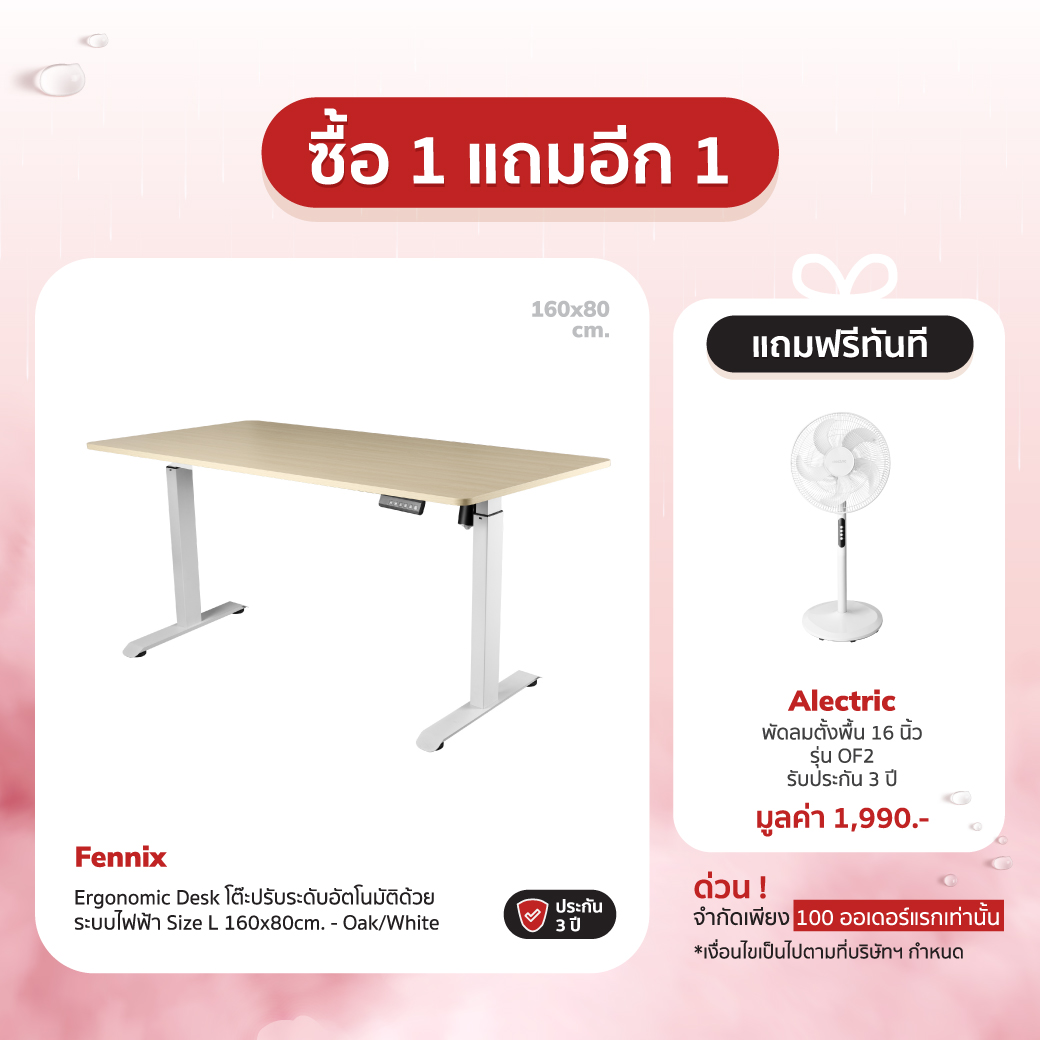 Fennix Ergonomic Desk โต๊ะปรับระดับอัตโนมัติด้วยระบบไฟฟ้า Size 120*60cm ...