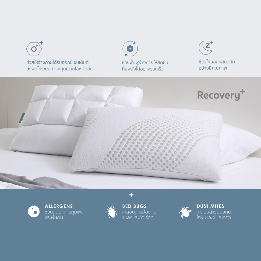 DREAMIA ชุดหมอน+ปลอกหมอนกันเปื้อน 4 ชิ้น/ชุด (หมอน 2,ปลอกหมอน 2) สีขาว ...