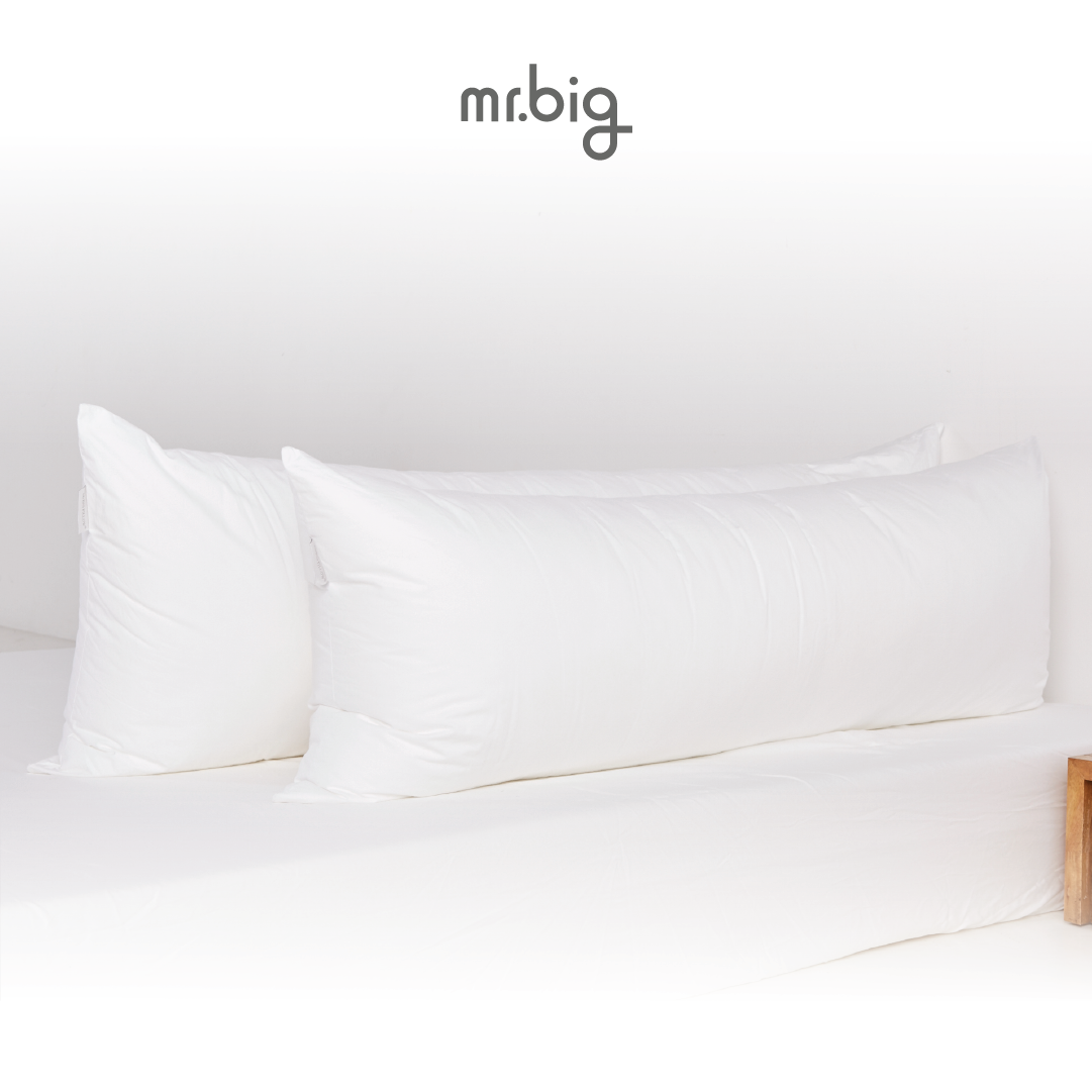 mr.big หมอน BodyScale Pillow No.5 - บริษัท ทรูซัคเซส เมดิคอล ซัพพลาย ...