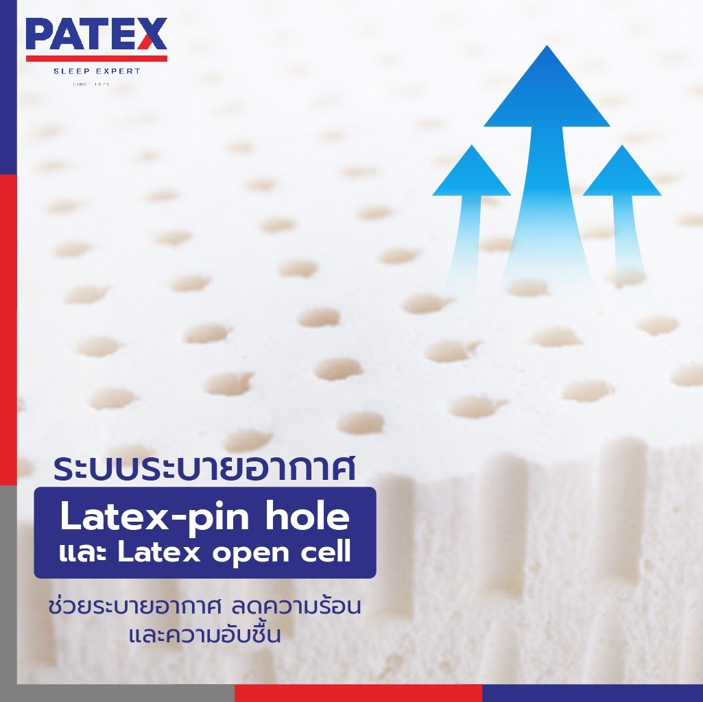 PATEX ที่นอนยางพารา 100% รุ่น VENICE 5 หนา 8 นิ้ว - บริษัท เลย์เทกซ์ (ประเทศไทย) จำกัด - ThaiPick