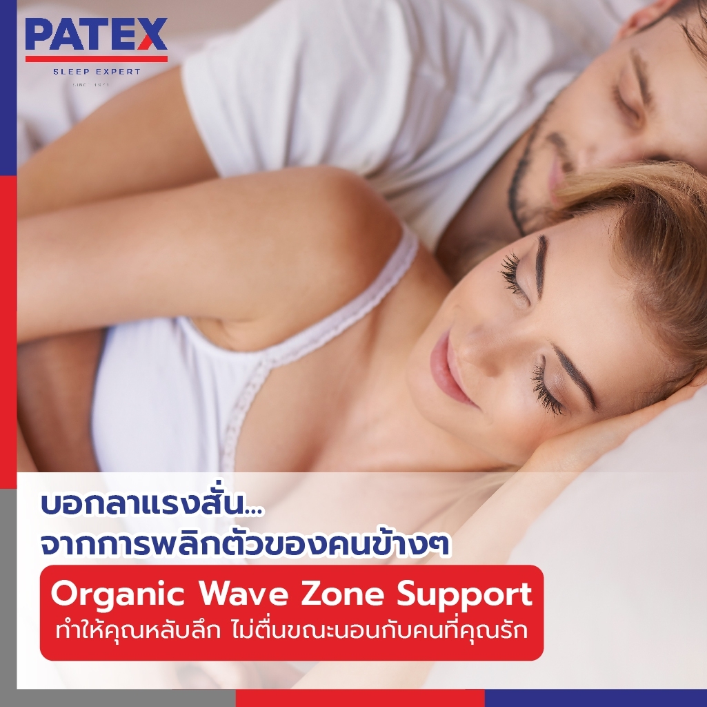PATEX ที่นอนยางพารา 100% รุ่น VENICE 5 หนา 8 นิ้ว - บริษัท เลย์เทกซ์ (ประเทศไทย) จำกัด - ThaiPick