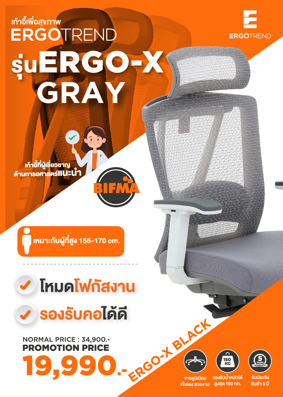 Ergotrend เก้าอี้เพื่อสุขภาพเออร์โกเทรน รุ่น ERGO-X GREY grey - บริษัท เอ็มพีซินเนอร์จี จำกัด ...