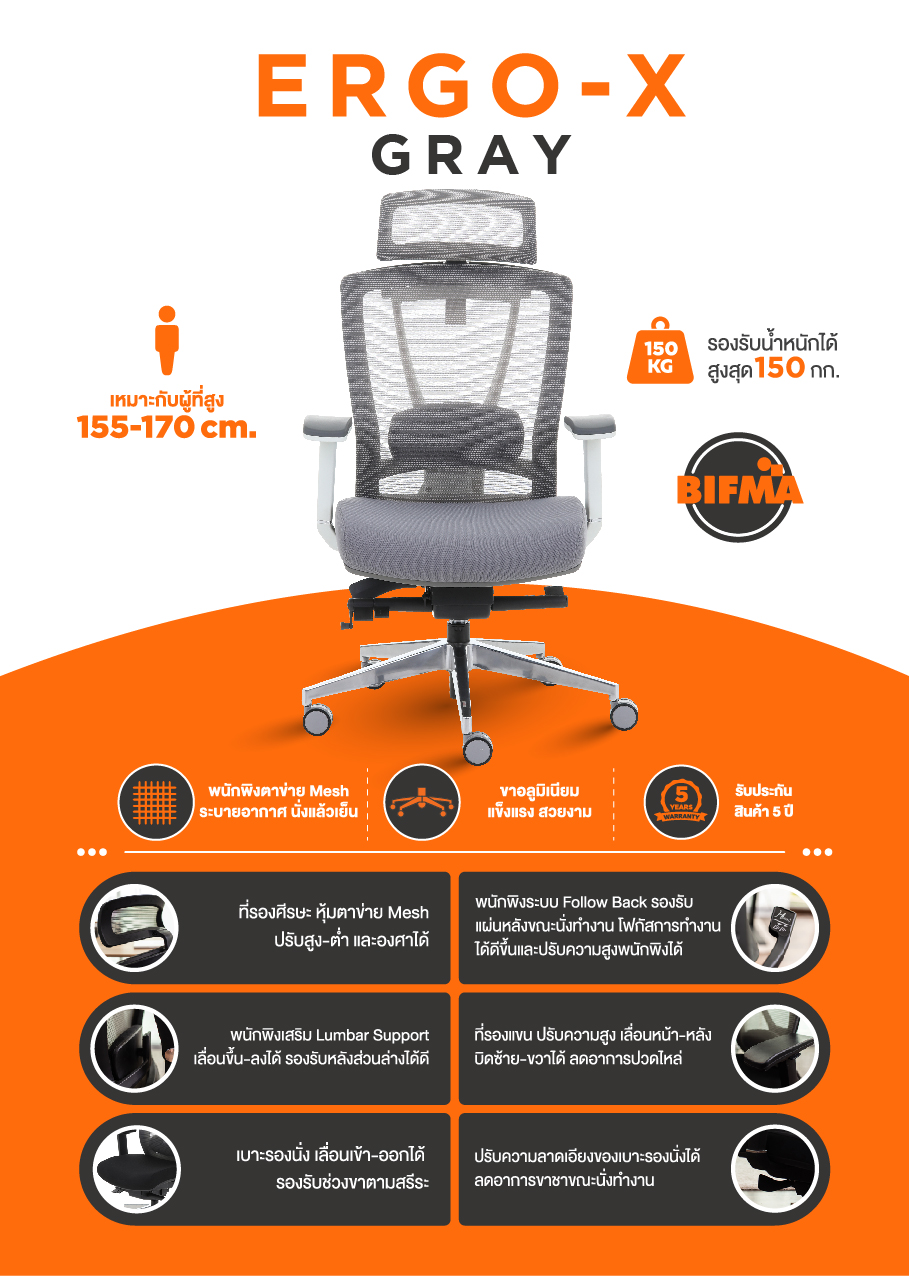 Ergotrend เก้าอี้เพื่อสุขภาพเออร์โกเทรน รุ่น ERGO-X GREY grey - บริษัท ...