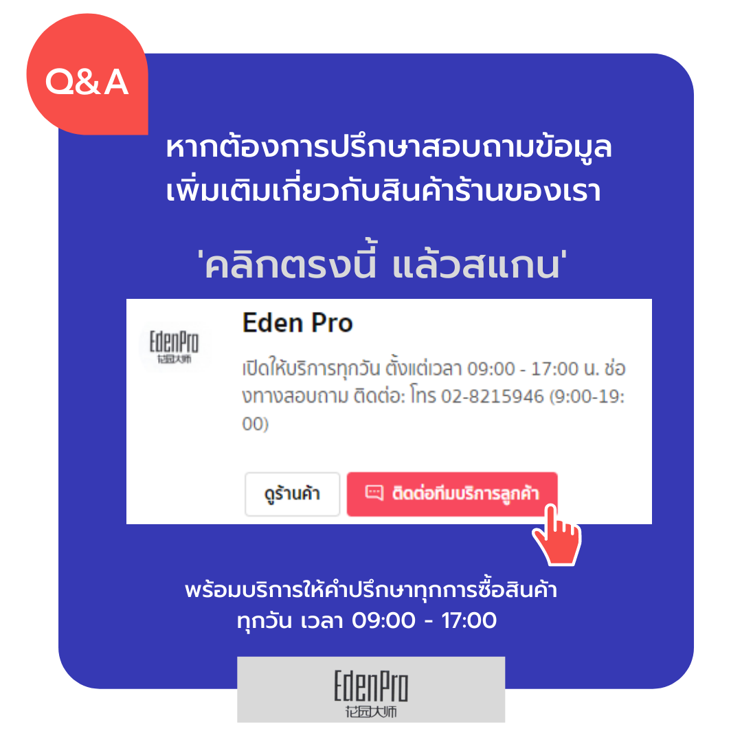 Eden Pro DIY พื้นระแนงสำเร็จรูป กล่องละ 10 แผ่น แคลิฟอร์เนียเบจ 300 x ...