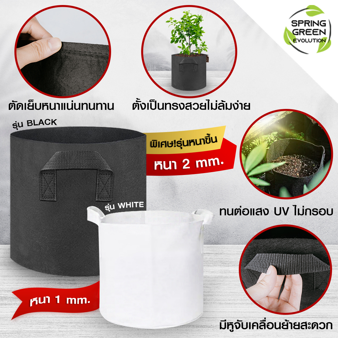Spring Green Evolution กระถางผ้าปลูกต้นไม้ 3Gallon - บริษัท สปริงกรีนอีโวลูชั่น จำกัด - ThaiPick