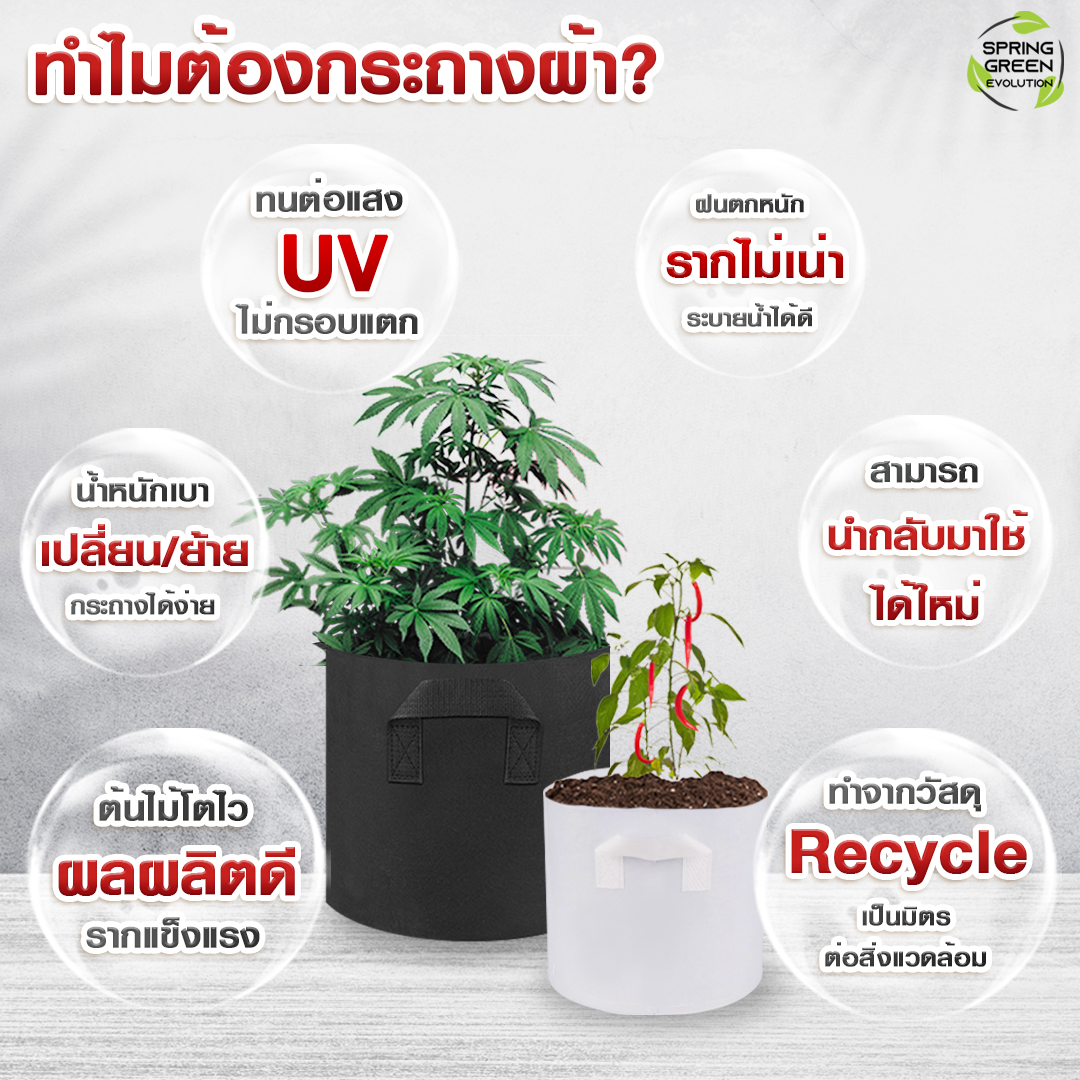 Spring green evolution กระถางผ้าปลูกต้นไม้ถุงปลูกต้นไม้ FP10 สีดำ - บริษัท สปริงกรีนอีโวลูชั่น ...