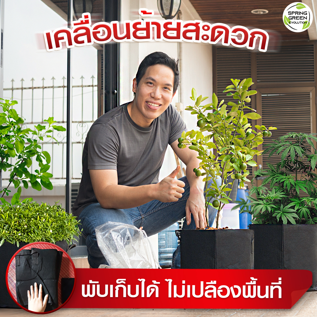 Spring green evolution กระถางผ้าปลูกต้นไม้ถุงปลูกต้นไม้ FP10 สีดำ - บริษัท สปริงกรีนอีโวลูชั่น ...