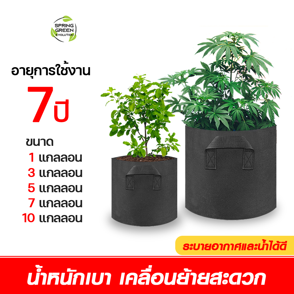Spring green evolution กระถางผ้าปลูกต้นไม้ ถุงผ้าปลูกต้นไม้ ถุงปลูกต้นไม้ ของแท้จาก SGE GALLON ...