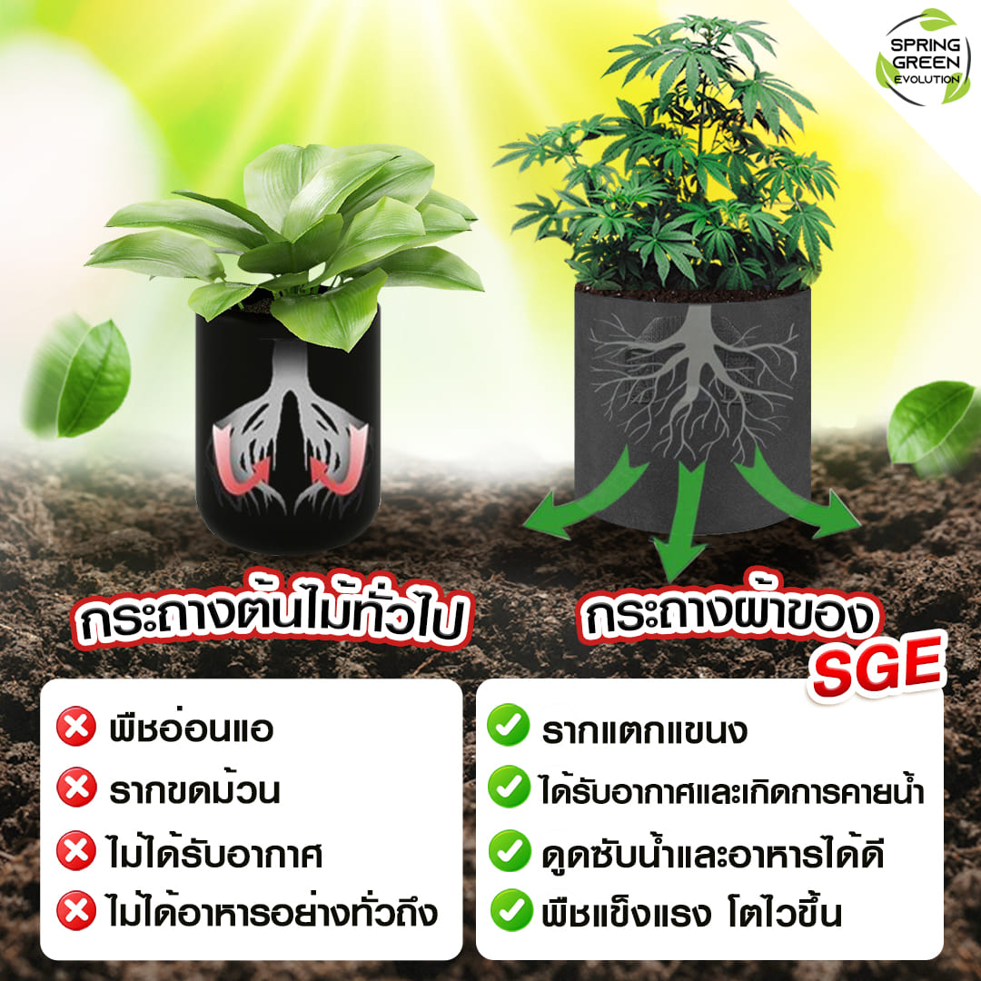 Spring Green Evolution กระถางผ้าปลูกต้นไม้ 7Gallon - บริษัท สปริงกรีนอี ...