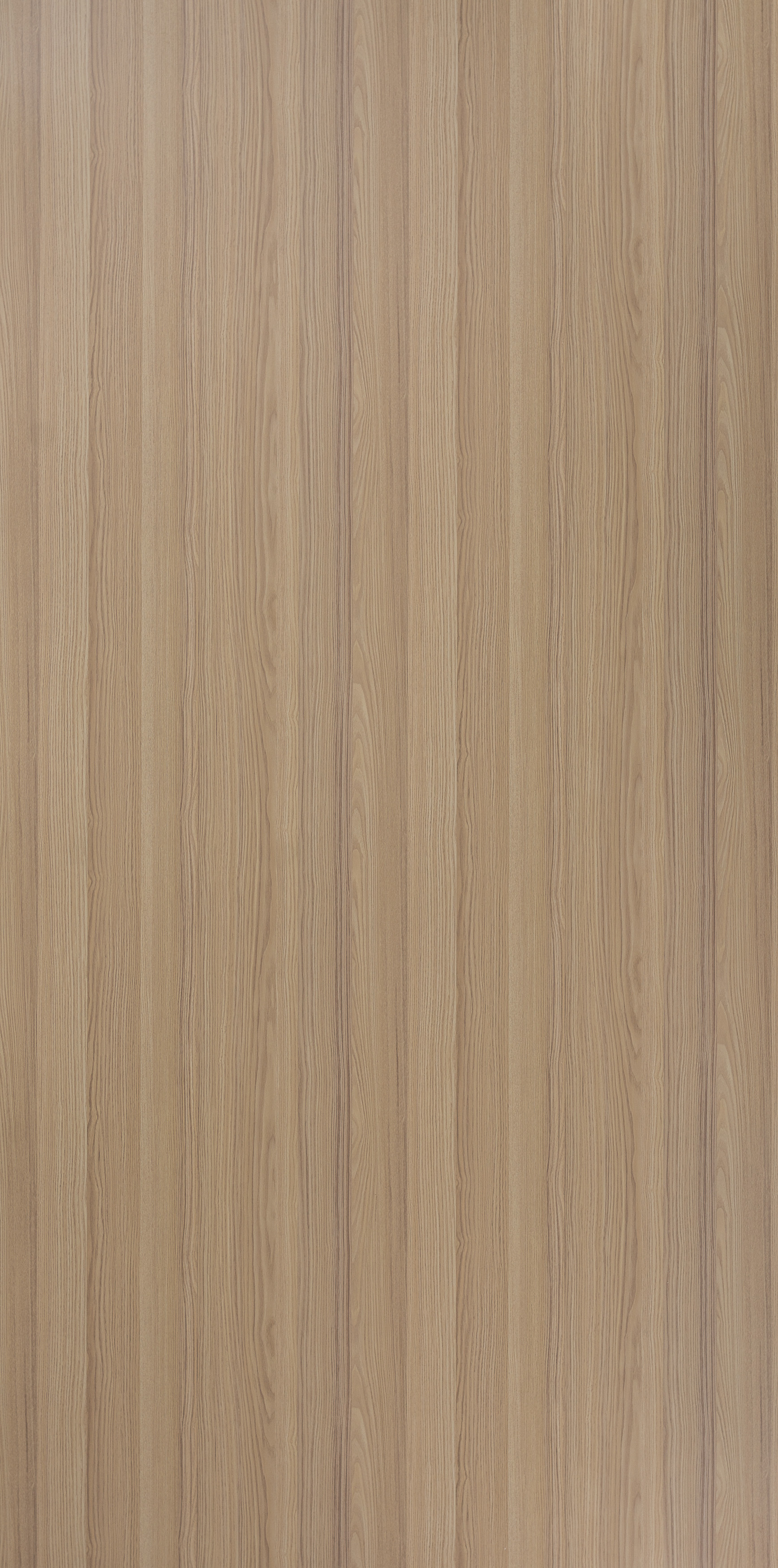 Splendor แผ่นลามิเนต ลายไม้ [wood] matte 7590 (Fine Ash) 1220 X 2440 ...