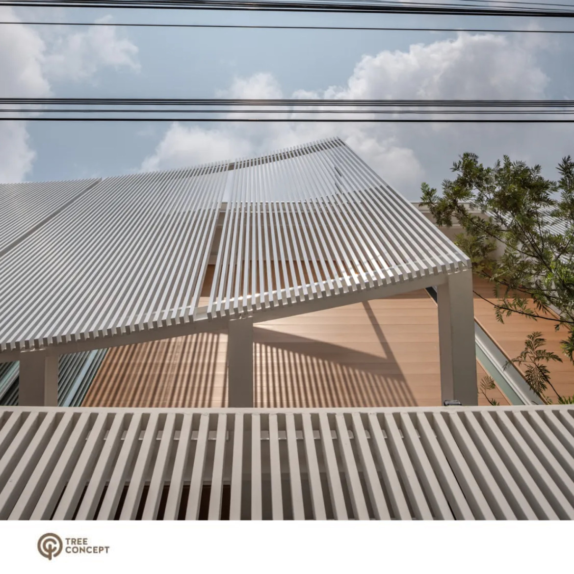 Tree Concept ไม้ตกแต่งผนัง รุ่น W08.01 สี Oak (Promotion Summer Sale ...