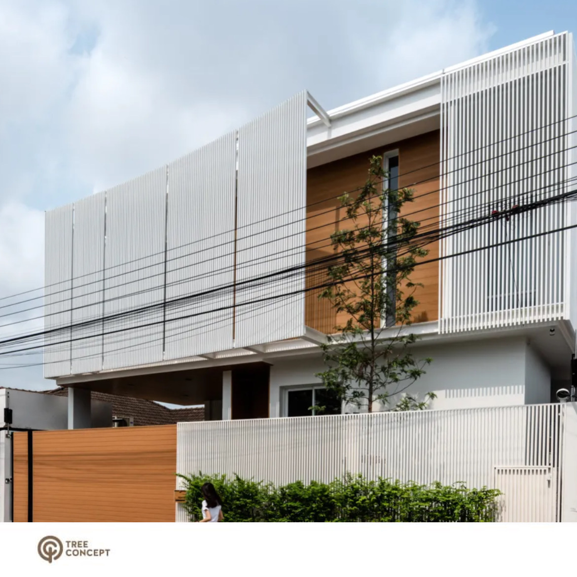 Tree Concept ไม้ตกแต่งผนัง รุ่น W08.01 สี Oak (Promotion Summer Sale ...