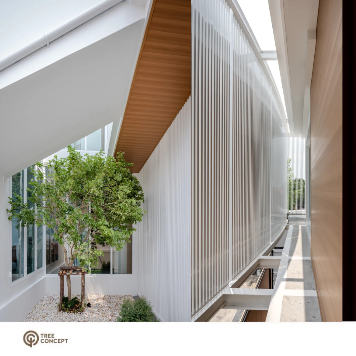 Tree Concept ไม้ตกแต่งผนัง รุ่น W08.01 สี Oak (Promotion Summer Sale ...