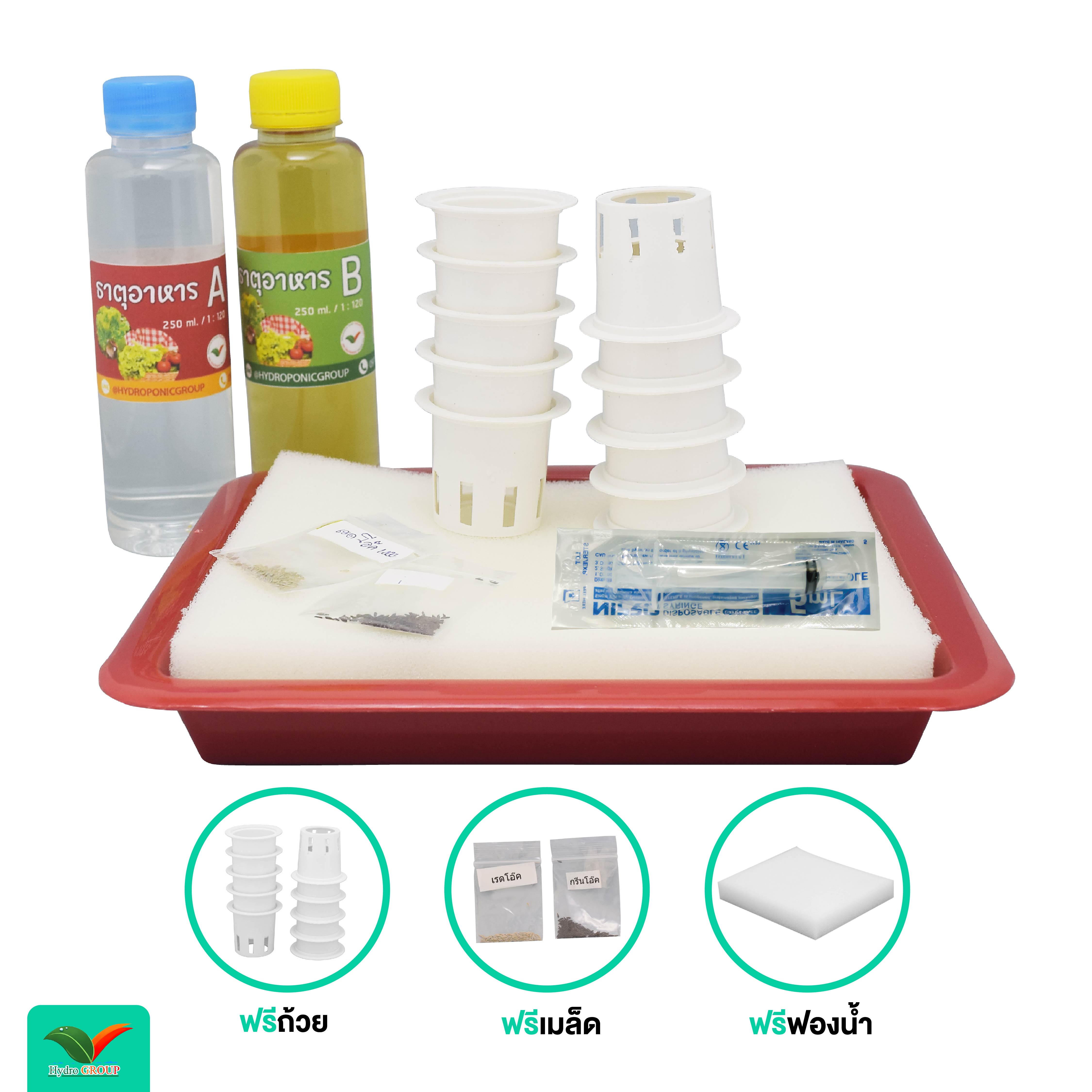 Hydroponicgroup ชุดทดลองปลูกผักไฮโดรโปรนิกส์ SET-VTRE - บริษัท ไฮโดรโปน ...