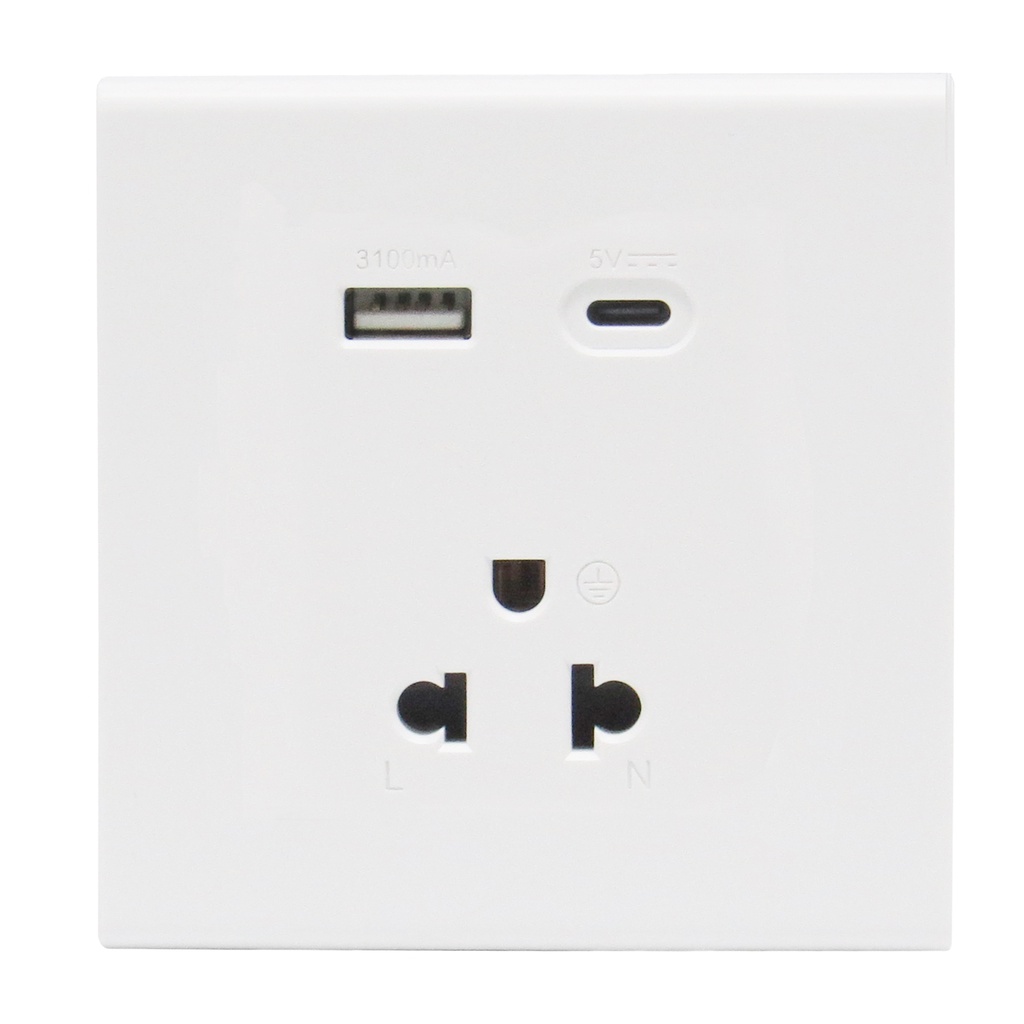 Local Socket with USB&USBC [SAHN] Dale (D10LUSBC) ดีไซน์สวยงาม และทันสมัยp สีทอง - ThaiPick