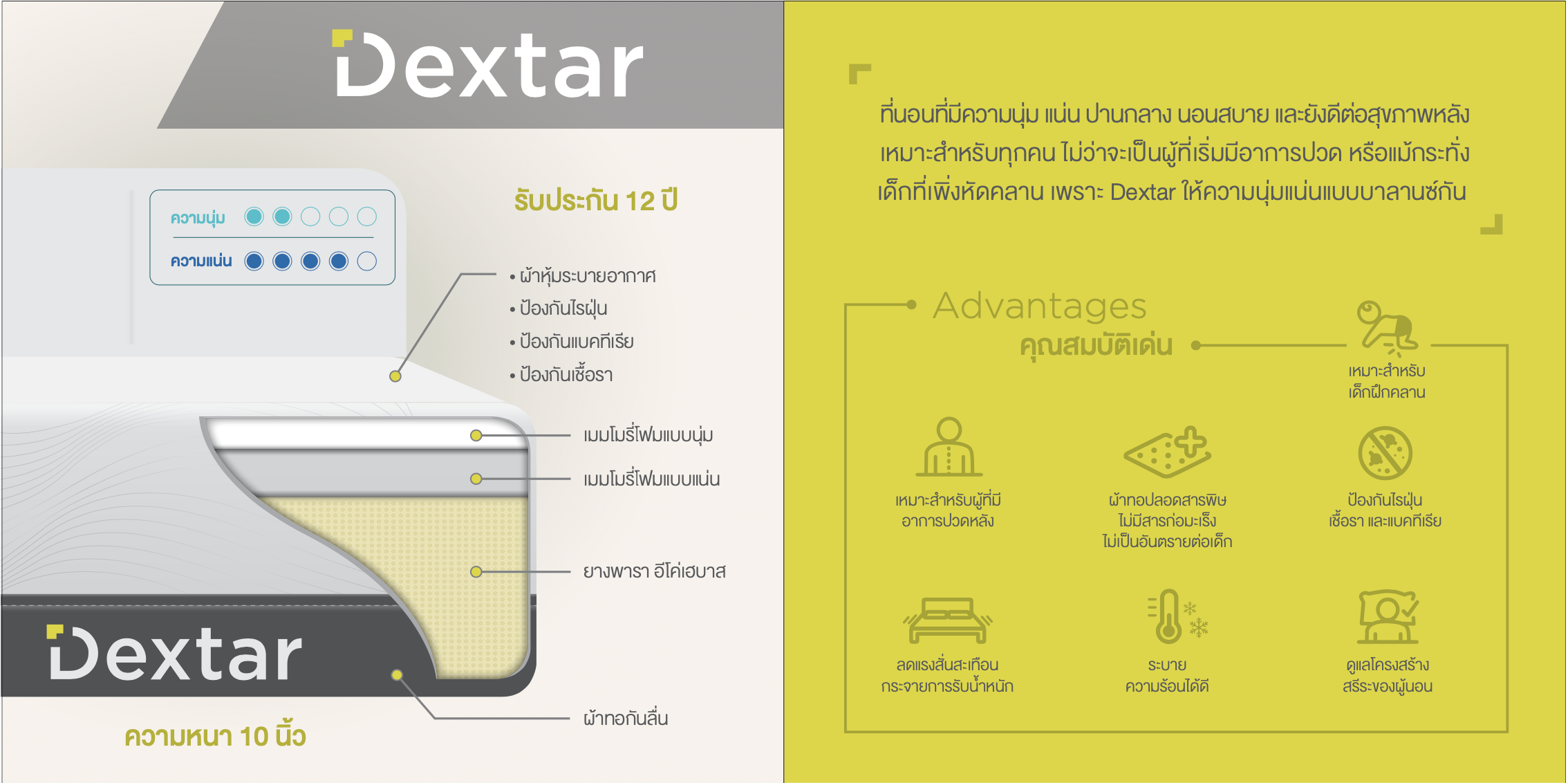 ฟูกที่นอนยางพารา รุ่น Dextar 5 ฟุต - บริษัท ดีไซน์ เดลิเวอรี่ จำกัด ...