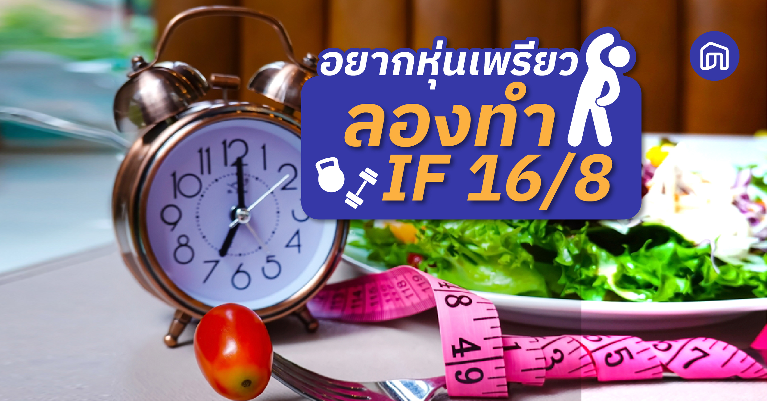 เทคนิคลดน้ำหนักแบบ if 16/8 ให้เห็นผลไว ลดจริง NocNoc.com Blog